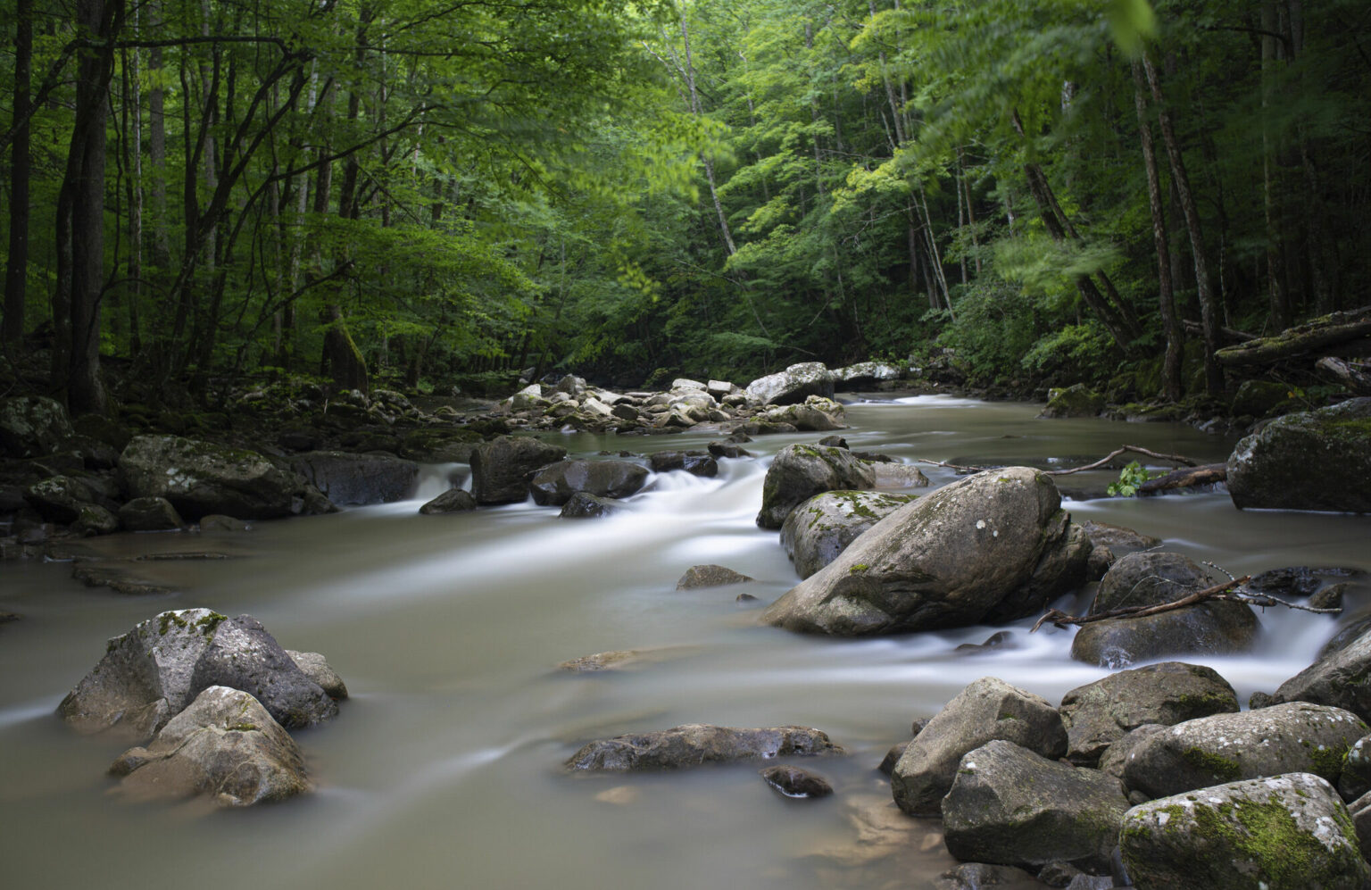 Waterkeeper – We fight for clean water