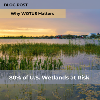 Eighty Percent of U.S. Wetlands at Risk: Why WOTUS Matters to You ...
